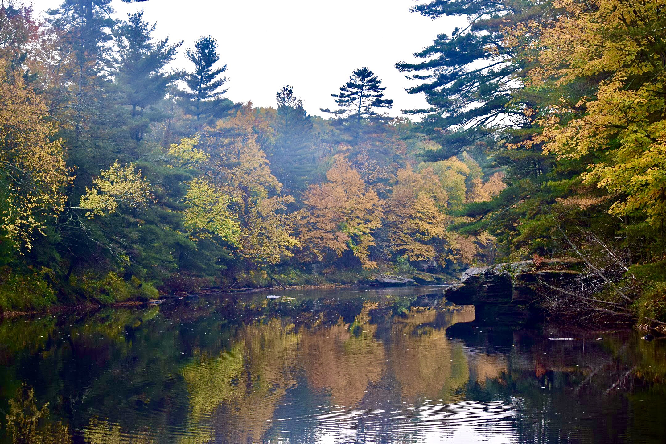 Preconceived Notions | Clean Your Inner House